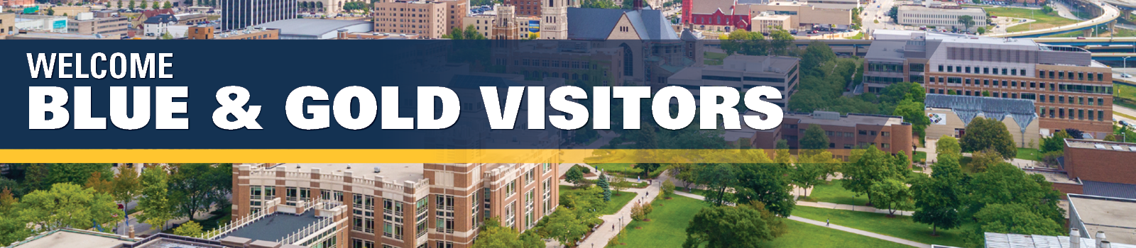 Blue and Gold Visitor